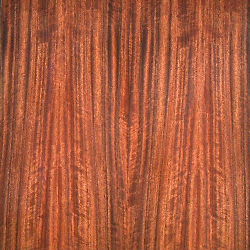 Etimoe - Booth Veneers